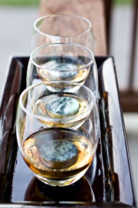 Erin's Food Files » Whiskey Disks {Product Review}